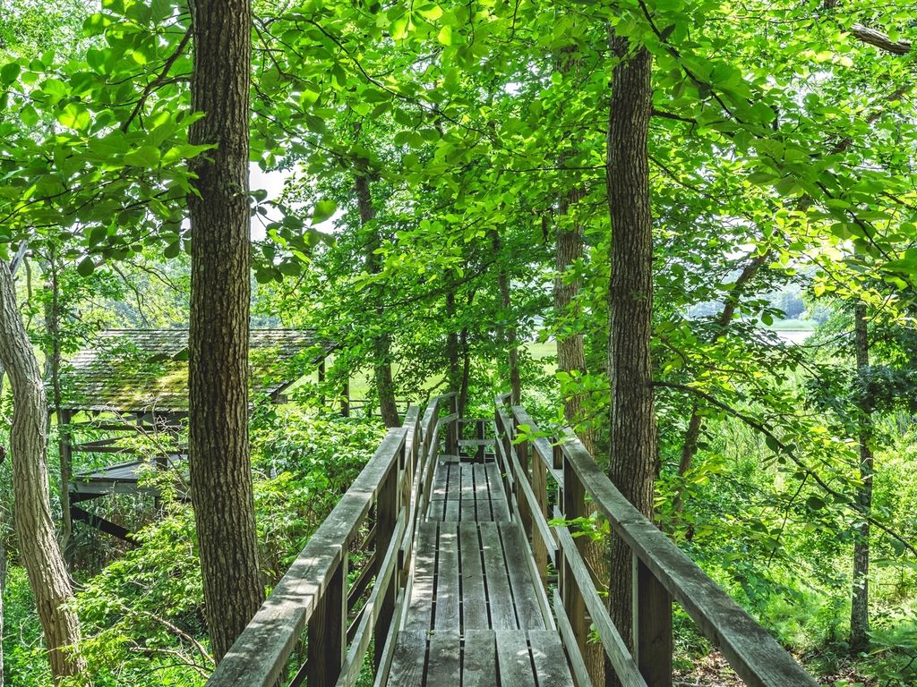 A Rustic North Sea Cottage Surrounded by Nature | Behind The Hedges