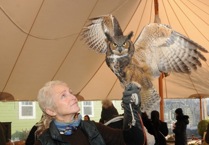 Hamptons Confidential: Jane Gill | Behind The Hedges