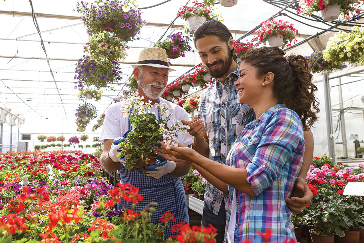 Gardening: The Benefits of Planting Native Species Gardening: The Benefits of Planting Native Species